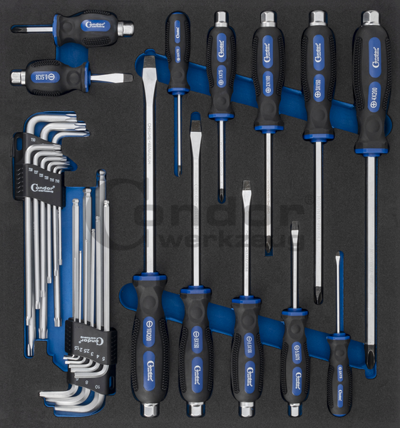 Module pour servante d'atelier | Tournevis & clés Allen | 30 pièces